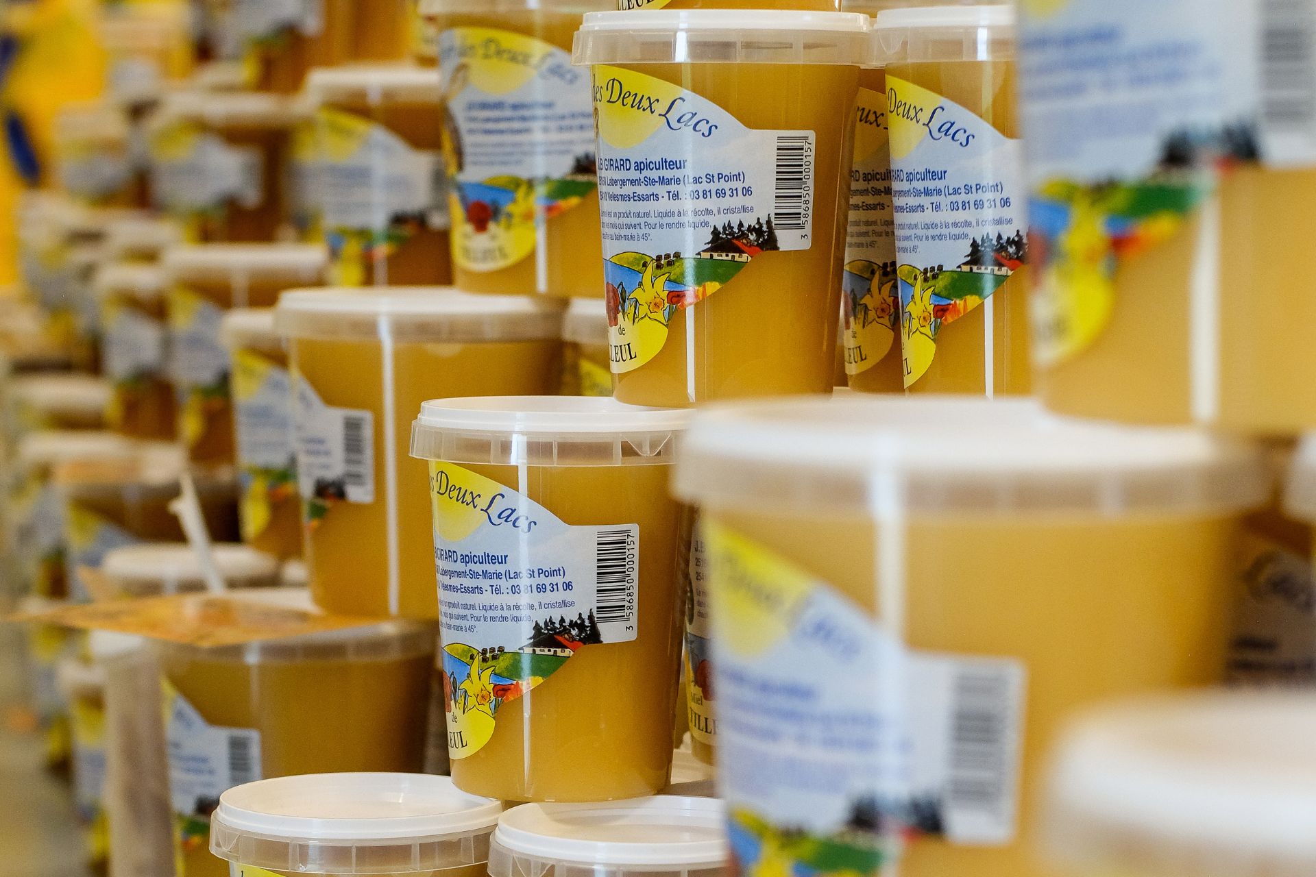 Visite guidée du Rucher des 2 Lacs